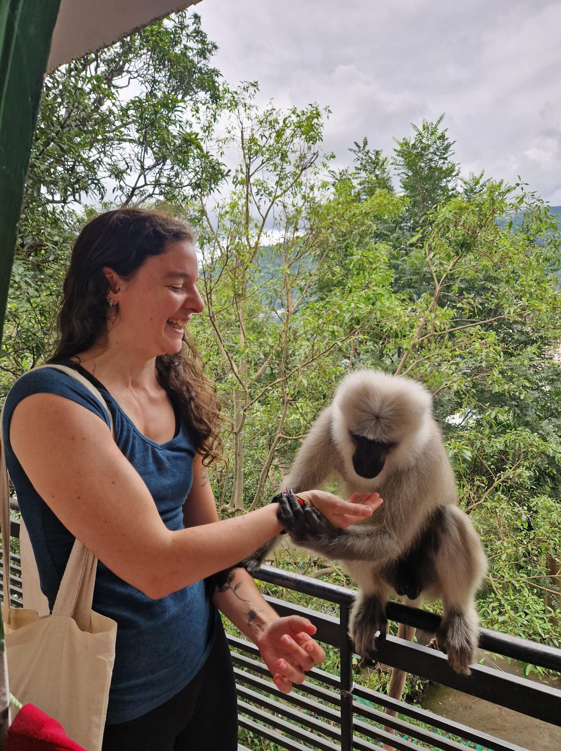 Ma formation prof de yoga 200 heures à Rishikesh en Inde - Blog Je ...